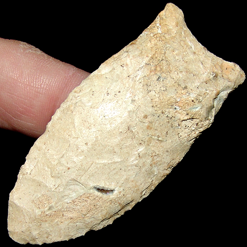 Artifacts Guide- Can Cream Clovis